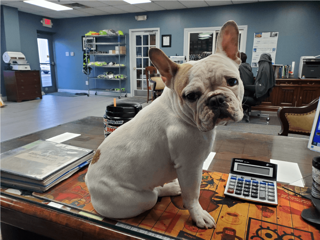 Our Shop - The Rigging Box