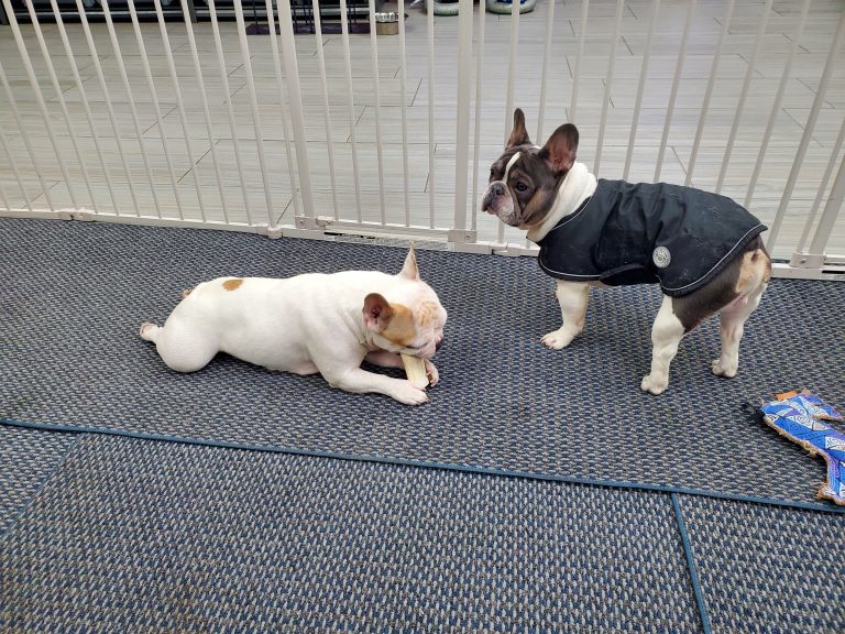 Our Shop - The Rigging Box